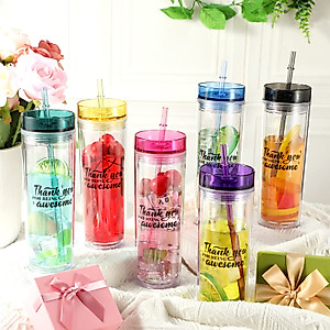 Didaey 6 Pcs Thank You Appreciation Gift for Employee Skinny Plastic Tumblers with Lid and Straw 16 oz Colored Clear Double Wall Tumbler for Coworker Men Women Friends Cup Gifts (Thank You)