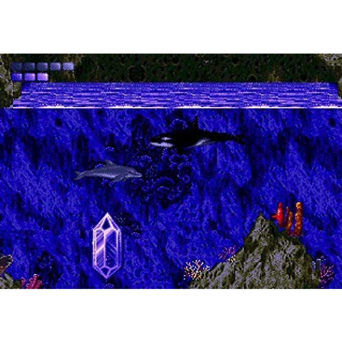 Ecco the Dolphin (Sega Genesis) - Reproduction VIdeo Game Cartridge