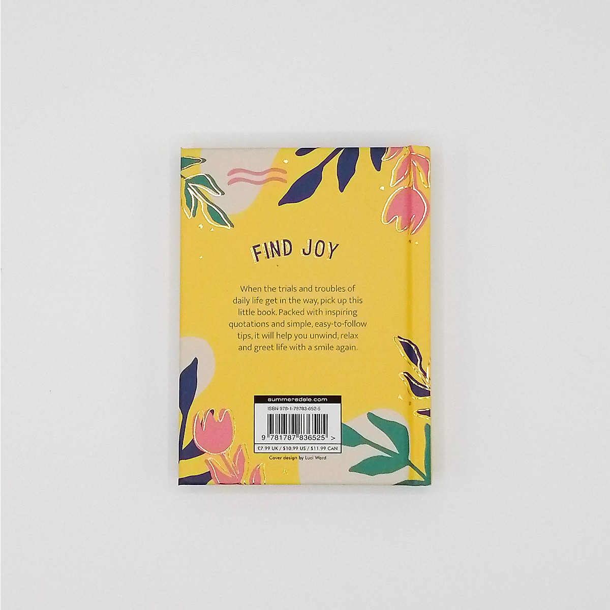 Happiness for Every Day: Simple Tips and Uplifting Quotes to Help You Find Joy