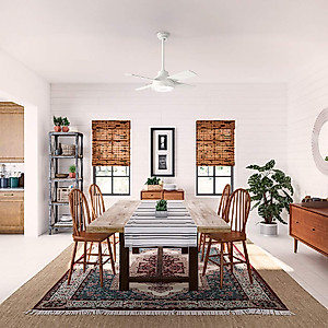 Casablanca Levitt Indoor Ceiling Fan with LED Light and Wall Control