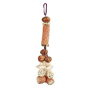 FUWE Bite Toy Edible Coloring Natural Materials Safe Corn Cough Chewing Toys for Parakeets for Parrots Rattan Ball Model (FUWE8zecd4gm0k-11)
