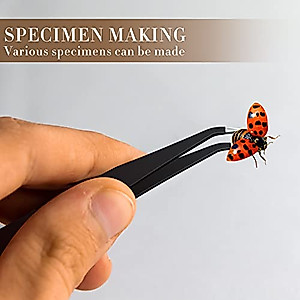 14 Pieces Insect Specimen Tools Kit Insect Display Case Box with Clear Top 8 Sheets Thin Tracing Paper Butterfly Mounting EVA Foam Pinning Board Pins 3 Pcs Insect Specimen Tools for Bugs Collection
