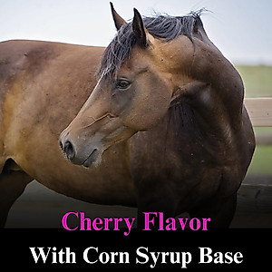 SU-PER B-1 Horse Calming Supplement - Equine Vitamin B-1 Support Horse Calmer Liquid - Appetite Booster Supplement for Horses - 1 Gallon, 4 Month Supply