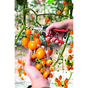 FELCO FELCO322 Model 322 Snips, Red