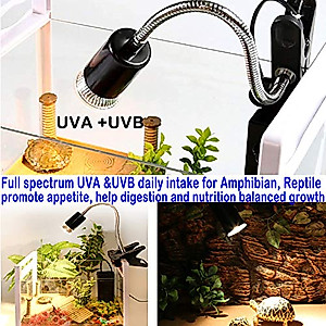 JackSuper 75W Reptile Heat Lamp, Turtle Heating Light UVA UVB Temperature Adjustable 360°Rotatable Clip Basking Lamp for Amphibian Reptile Turtle Lizard Snake (Heat Light with 2pcs 75W Bulb)