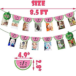 Watermelon First Birthday Party Supplies One in a Melon Balloons Watermelon Photo Banner Pink Glittery Watermelon One Cake Cupcake Topper Summer Fruit Girls 1st Birthday Party Supplies Decorations