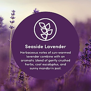 Clean Revolution Multi Surface Cleaner Refill Supply, Non-Toxic, Eco-Friendly & Plant-Based, Ready to Use, Seaside Lavender, 128 Fl Oz (1 Gallon)