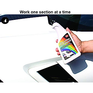 The Treatment 50016 White Carnauba Color Wax, 16 oz, 1 Pack