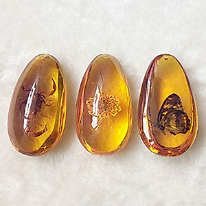 Garneck Crystal Amber Fossil with Insects, Inside Specimens Samples Stones Oval Pendant Collection Home Decorations Education Gift (Random Pattern)