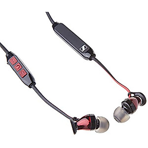 Momentum Free Special Edition