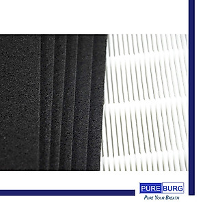 PUREBURG AeraMax 300 Replacement True HEPA Filter Set Compatible with Fellowes HF-300 fits Fellowes AP300PH HF300 AeraMax 290 300 DX95 Air Purifier Part 9287201