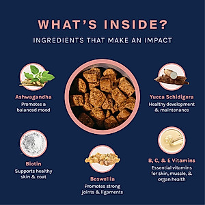 Good Trouble Pets Complete Care Dog Multivitamin, Ashwagandha, Biotin, Yucca, Glucosamine Chondroitin, Probiotics, Omega Fish Oil - Dog Supplements & Vitamins for Joint, Heart, and Immune Health