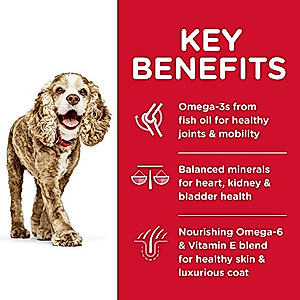 Hill's Science Diet Dry Food, Adult 11+ for Senior Dogs, Small Paws, Chicken Meal, Barley & Brown Rice Recipe, 15.5 lb Bag