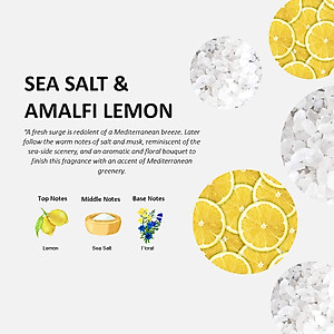 Fruits & Passion Cucina Dish Detergent Refill Sea Salt and Amalfi Lemon, 33.8 oz