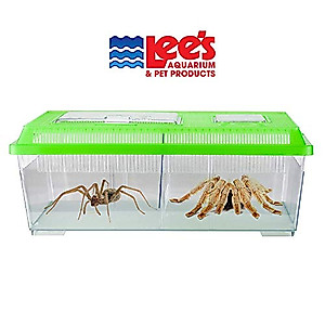 Lee's Reptile Ranch, Large, Rectangle with Lid, Colors may Vary