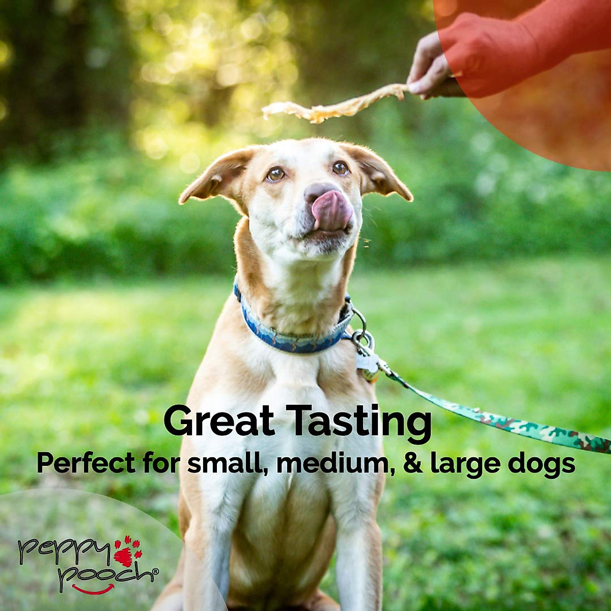 Peppy Pooch Turkey Tendons for Dogs – 8 oz Bag - All-Natural Dog Treat Chew Stick - Made in USA.