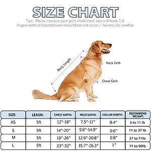 QQPETS Dog Harness Collar Leash - No Pull Pet Adjustable Back Clip Halter Basic Collar Heavy Duty 5FT Anti-Twist Leash for Extra Small Puppy Medium Large Breed Training Running