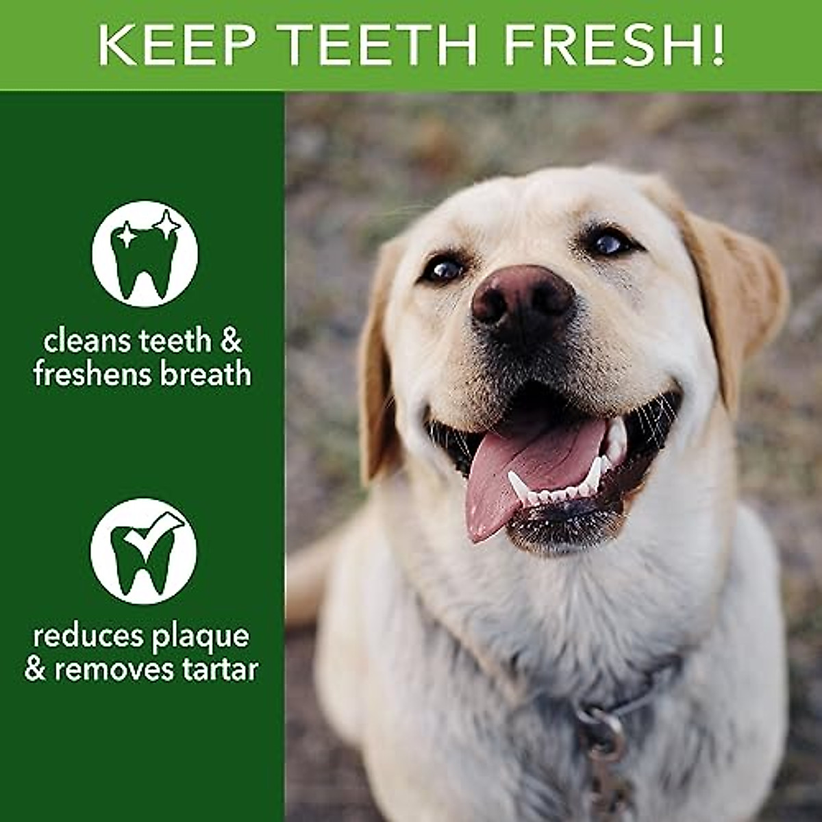 Pet Factory Real Chewz Piggy Bites Dog Chew Treats, 100% All-Natural - 16 oz