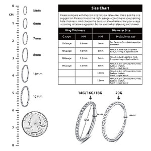 WYR Unisex Nose Ring Hoop with White Opal 20G(0.8mm) Diameter 10mm 316L Surgical Stainless Steel Hinged Flat Hinged Segment Ring Lip Rings Helix Cartilage Rook Earrings, Silver color ring