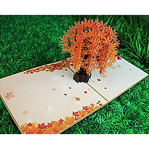 TIMMOR MAGIC 3D Pop Up cards, Golden Maple Tree Cards, Birthday Cards, Mom Cards, Thank you Cards, Greeting Cards (Golden Maple)