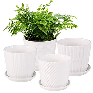 sietpoek Plant Pots - 5.5 Inch Cylinder Ceramic Planters with Connected Saucer, Pots for Succuelnt and Little Snake Plants, Set of 4, White
