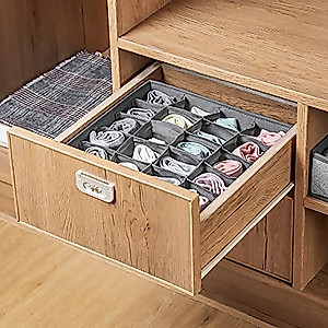 Underwear Organizer Drawer, 4 PCs Foldable Closet Underwear Organizers Drawers Divider, Clothes Storage Box Drawer Dividers for Bra, Sock, Ties, Undergarment, Belt, Panties (Gray)