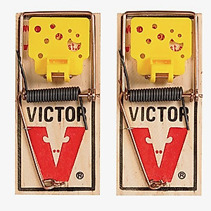 Victor EZ set mouse trap (Pack of 50)