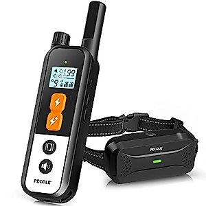 Dog Training Collar with Remote, Shock Collar for Dogs with Vibration and Beep Modes, Rechargeable Transmitter with Security Lock, Waterproof Collar, 99 Adjustable Levels – All Breeds, Sizes