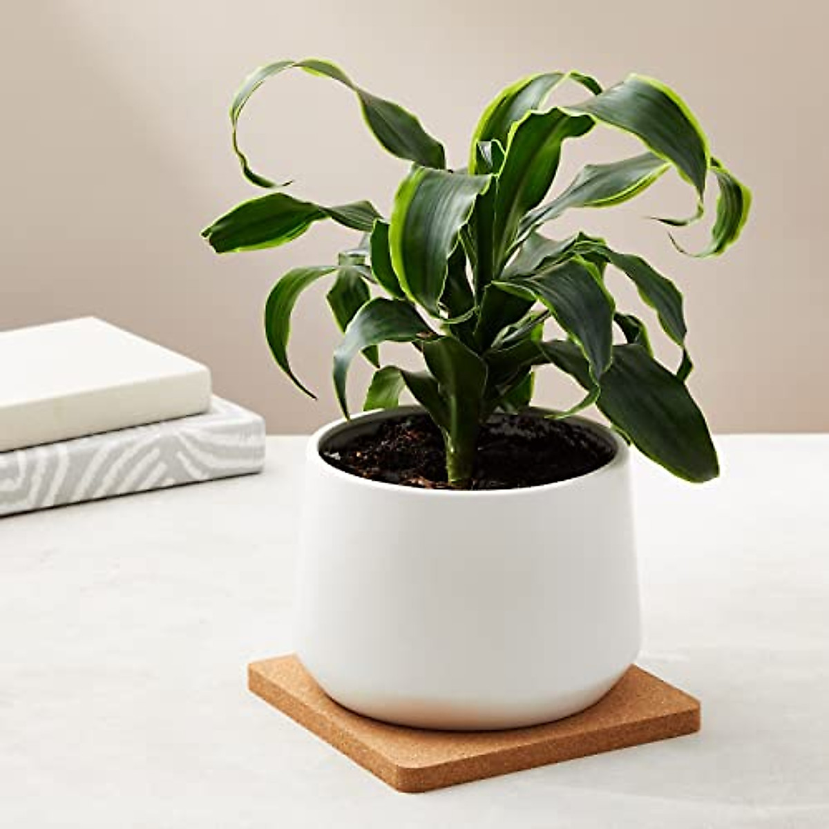 6-Pack Square Cork Trivet, Corkboard Placemats, Cork Hot Pads for Table, Home Kitchen, Hot Pots, Pans, and Kettles, Heat Resistant, Multifunctional (7x7 inches)