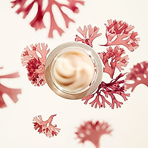 Shiseido Benefiance Wrinkle Smoothing Cream - 50 mL - Anti-Aging Moisturizer for Normal & Combination Skin - Visibly Corrects Wrinkles & Intensely Hydrates - Non-Comedogenic