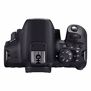 Canon EOS Rebel T8i DSLR Camera with 18-55mm Lens (3924C002) + 64GB Card + Case + Corel Software + LPE17 Battery + External Charger + Card Reader + HDMI Cable + More (Renewed)