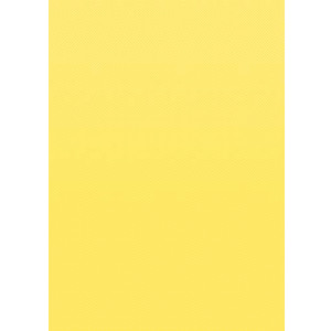 Teacher Created Resources Lemon Yellow Better Than Paper Bulletin Board Roll (TCR77043)