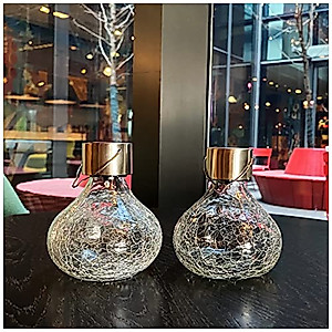 EZ Solar Lantern, 2 Pack Outdoor Lanterns Waterproof Hanging Solar Lights Table Patio Porch Garden Backyard Decor (Warm White)