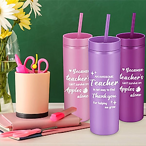 12 Pack Teacher Appreciation Gifts for Teachers Skinny Tumblers 16oz Matte Pastel Colored Acrylic Tumblers with Lids and Straws Thank You Gifts for Grad Teachers Day Birthday (Bright Colors, 12 Pack)
