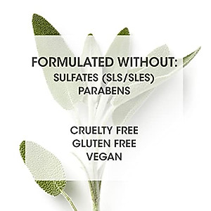 SEVEN Haircare Gazar Hydrate Shampoo for Women & Men, Sulfate Free, Cruelty Free & Paraben Free with Pro Vitamin B5, Sugarcane + Moisturizing Cactus Flower for Dry hair, Made in USA, 10.8oz