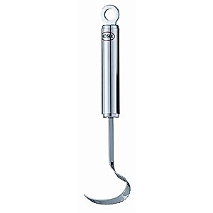 Kitchen Tools Preparing Fish Scaler RL12749, Stainless