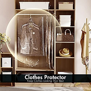 TAILI Hanging Vacuum Storage Space Saver Bags Set of 4 (2 Long, 2 Short),Vacuum Bag Clear Bags，Save More Space Closet Organizer