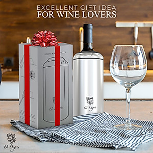 12 Degrés Wine Chiller Set - Perfect Wine Gifts for Women & Men - Stainless Steel Insulated Wine Cooler with Wine Pump, Aerator & 4 Stoppers (Silver)
