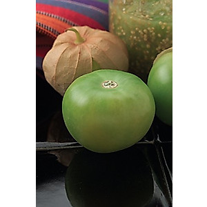 Burpee Gigante Tomatillo Seeds 160 seeds