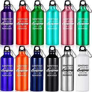Hoolerry 12 Pack Multi Color Aluminum Water Bottle Sometimes You Forget You're Awesome Lightweight Reusable Bike Backpacking Water Bottles Bulk with Buckle and Twist Cap for Travel Sport(25 Oz)