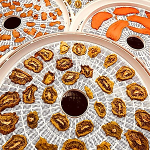 (8 Pack) Round Silicone Dehydrator Sheets, Dostk Premium Non Stick Silicone Mesh for Fruit Dehydrator , Dehydrator Tray Liner Reusable (Round 13" Diameter)