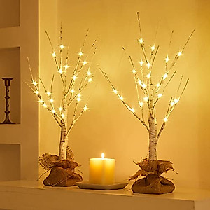 Lighted Birch Tree, 2pcs 24”H Tabletop Tree Light with Burlap Decor, Pre-Lit 24 LED Warm White Lights, Timer Function, Money Tree Perfect for Spring Home Centerpiece Decor, Indoor&Outdoor Use