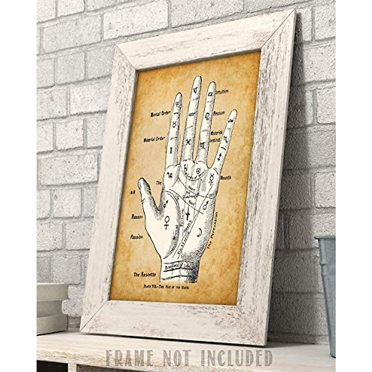 Palm Reading Divination Chart - Classic Fortune Teller Decor, Chiromancy Wall Art, Gift for Oddity Palm Readers, Palmistry and Astrology Fans, 11x14 Unframed Art Print Poster