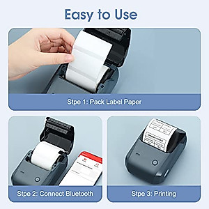 NIIMBOT B1 Label Makers, 2 Inch Bluetooth Label Maker with Auto Identification, Portable Label Printer Easy to Use for Office, Home, Business (with 1.96x1.18 inch Label Tape)