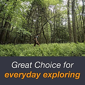 Gerber Gear 22-48485 Paraframe Mini Pocket Knife, 2.2 Inch Fine Edge Blade, Stainless Steel