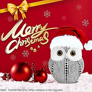 Owl Statue for Home Decor Accents Office Decoration, APPS2Car Handmade Polka Dots Buhos Modern Bird Figurine for Indoor Book Shelf Desktop Cabinet Fireplace Mantel Living Room Bedroom Ornament (White)