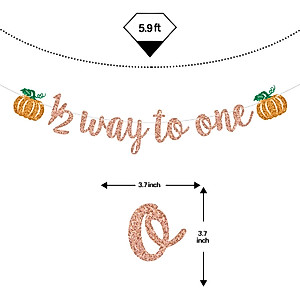 Pumpkin 1/2 Way to One Banner, Fall Half Birthday Decorations Girl, Happy 6 Months, Little Pumpkin Baby Shower Birthday Party Decorations, Rose Gold Glitter