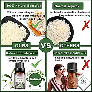 Haccah Complete Candle Making Kit,Candle Making Supplies,DIY Arts and Crafts Kits for Adults,Beginners,Kids Including Wax, Wicks, 6 Kinds of Scents,Dyes,Melting Pot,Candle tins