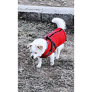 YUANNING Dog Winter Coat with Harness, Dog Reflective Jacket Pet Warm Zip Up Vest Windproof Waterproof Cold Weather Dog Coat Outdoor Winter Clothes for Smal Medium Dogs (S(12in))