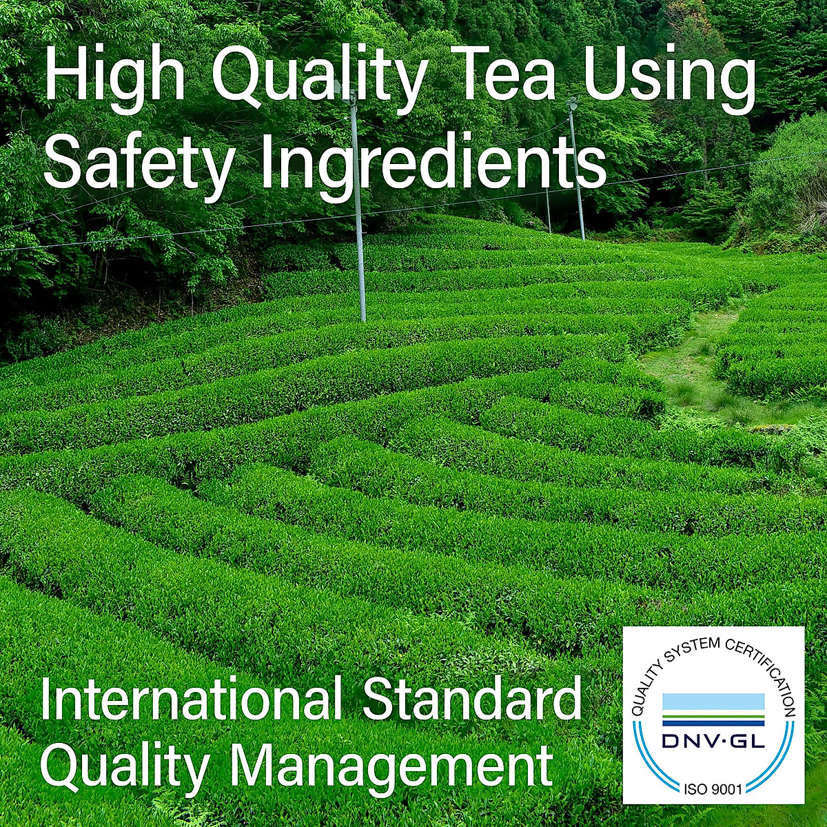 Genmaicha green tea with Matcha, roasted brown rice tea, Low caffeine, Japanese Tea, 3g×60 tea bags【YAMASAN】